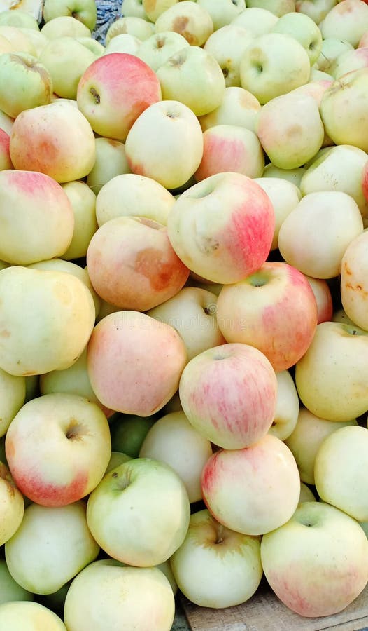 Apple fruit on ground stock photo. Image of asian, ground - 195782558