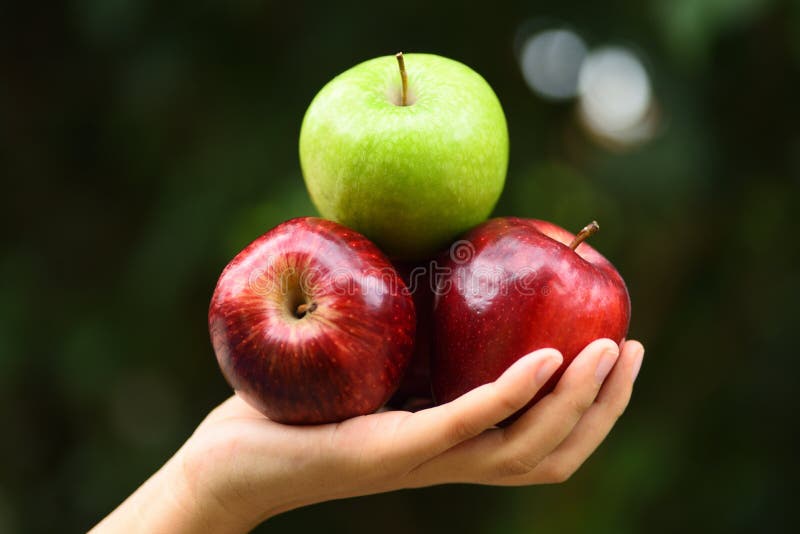 Apple fruit in hand stock image. Image of vegetarian - 87856539