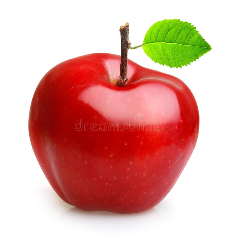 Apple fruit isolated stock image. Image of fresh, dieting - 55474859