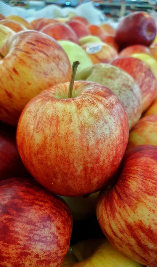 Apple fruit on portrait stock image. Image of food, vegetable - 224593365