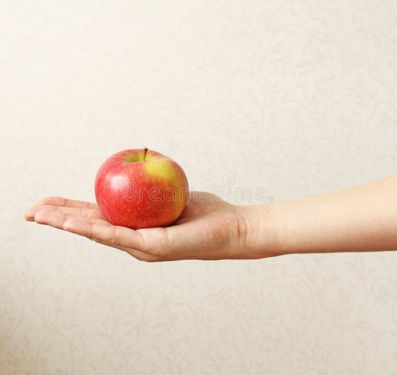 An Apple. the Fruit of the Red Apple Lies on the Hand Stock Photo ...