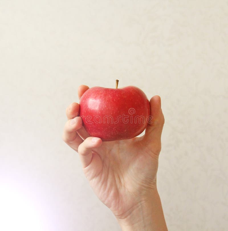 An Apple. the Fruit of the Red Apple Lies on the Hand Stock Photo ...
