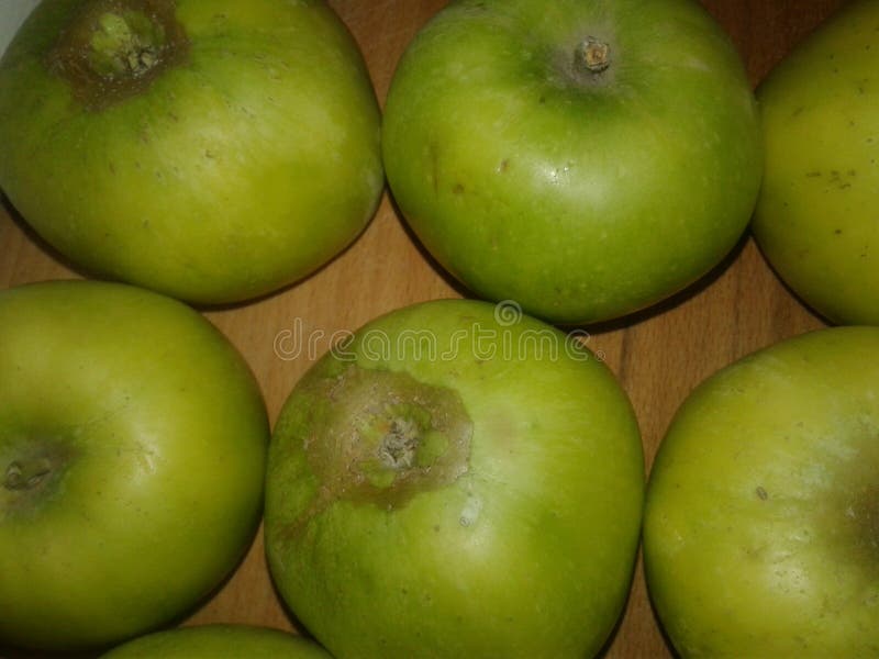 Apple stock photo. Image of food, apple, material, fresh - 84084150