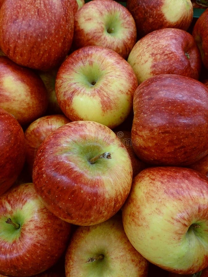 Apple stock image. Image of nature, fresh, apple, fruits - 45298933