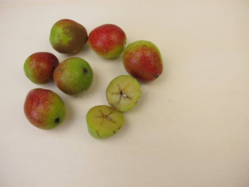 147 Sorb Apple Stock Photos - Free & Royalty-Free Stock Photos from ...