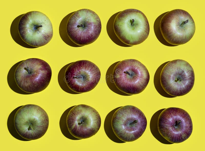 Apple fruits stock photo. Image of fruit, dessert, macro - 213574028