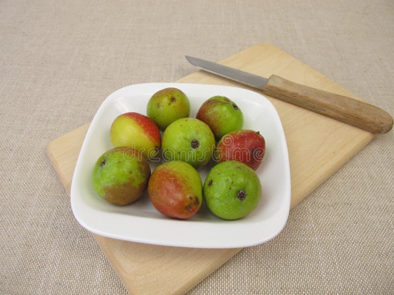 Apple Fruits from the Sorb Tree Stock Photo - Image of sorb, whitebeam ...