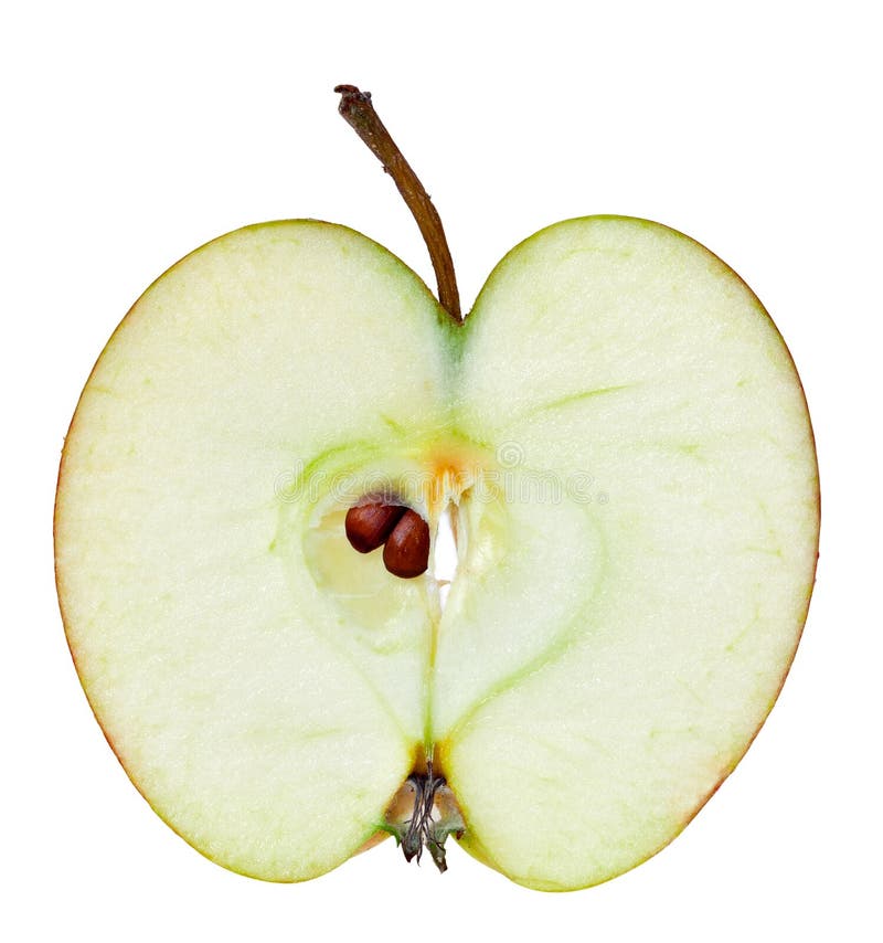 Apple core. stock photo. Image of apple, natural, 070712g0123 - 3531608