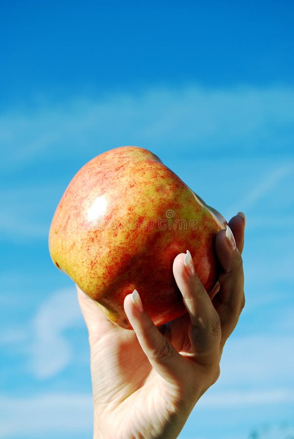 Apple in hand stock image. Image of natural, freshness - 11399853
