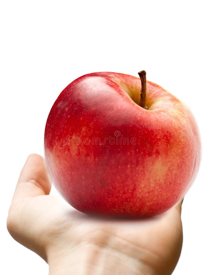 Apple in hand stock image. Image of ripe, apple, nutritious - 23910209