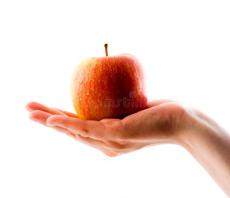Woman S Hand Holding Red Apple Stock Photo - Image of eating, white ...