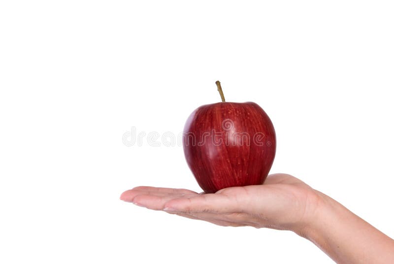 Apple in hand stock photo. Image of space, white, hand - 3968264