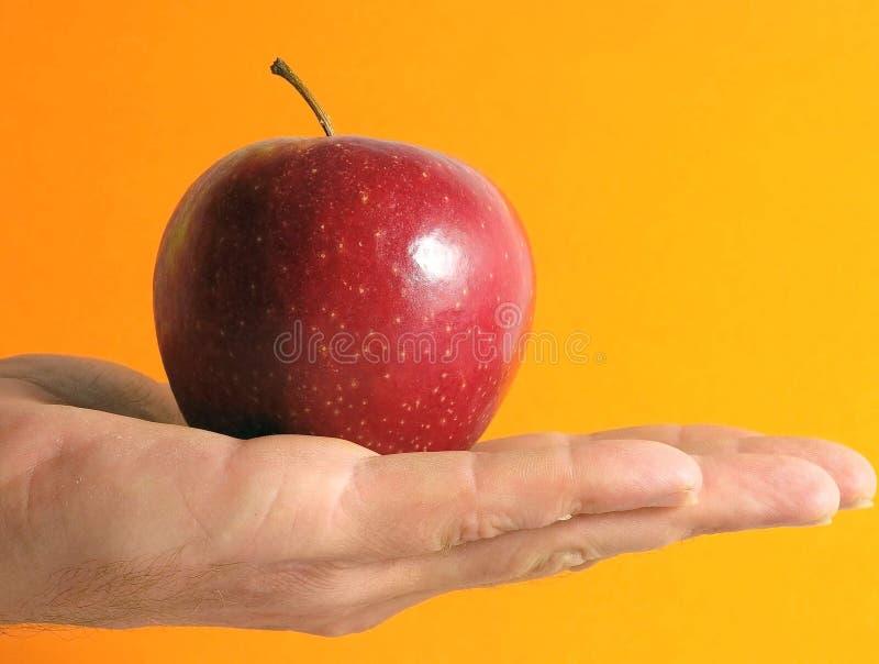 Apple on the Hand stock photo. Image of nature, healthy - 246340004
