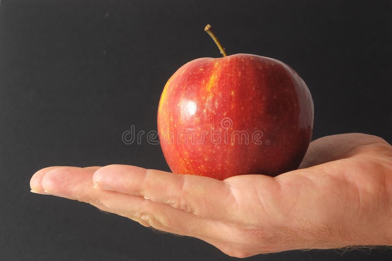 Apple on the Hand stock image. Image of healthy, idea - 38120673