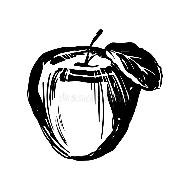 Apple Drawing Illustration, Sketch Style, Black and White, Engraving ...