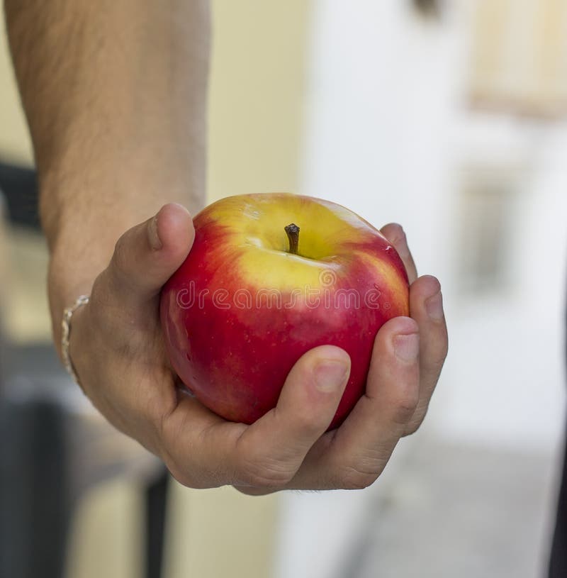 Apple in the Hand stock photo. Image of color, delicious - 40212506