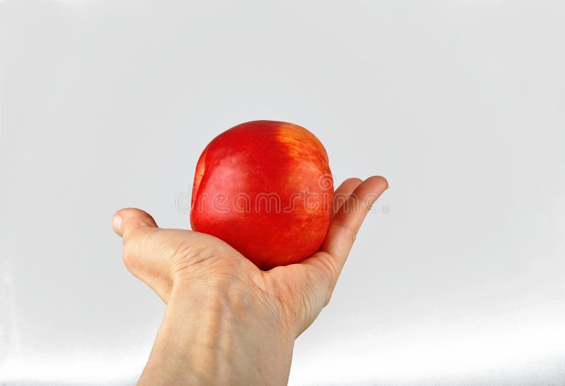 Apple in a hand stock photo. Image of nutritious, fresh - 43285156