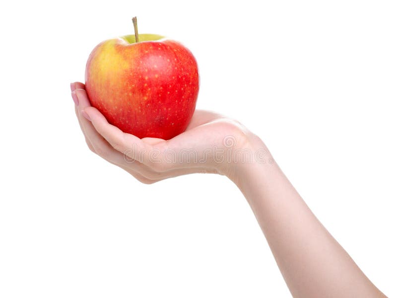 Apple in hand stock photo. Image of hold, holding, hand - 178901660