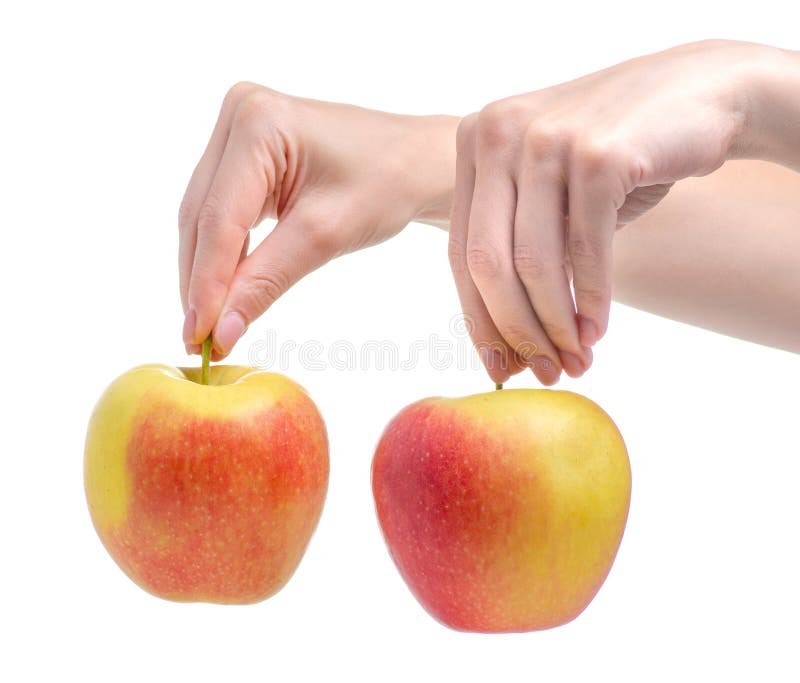 Apple in hand stock photo. Image of dieting, holding - 178901686