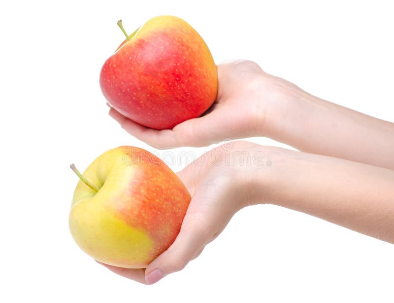 Apple in hand stock photo. Image of hold, holding, hand - 178901660