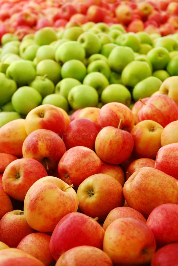 Apple Harvest stock image. Image of apples, healthy, grocer - 18811271