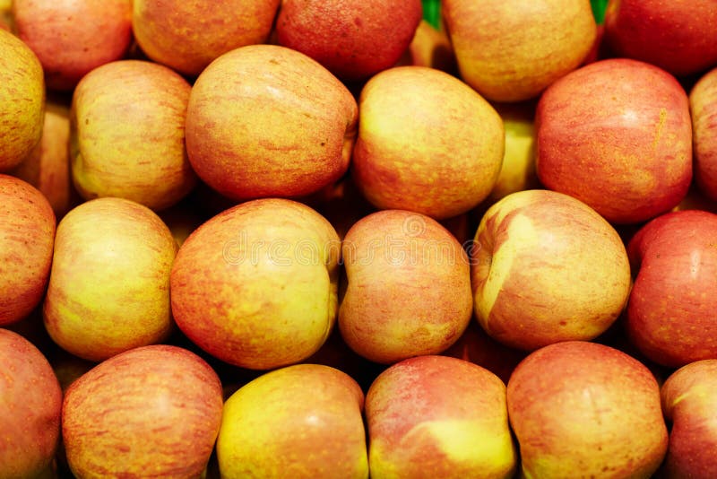 Rows of Apples stock photo. Image of cider, sour, fruit - 320182
