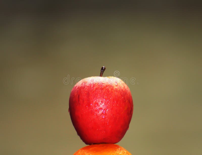 Apple Image, High-Quality Photography of Apple Stock Photo - Image of ...