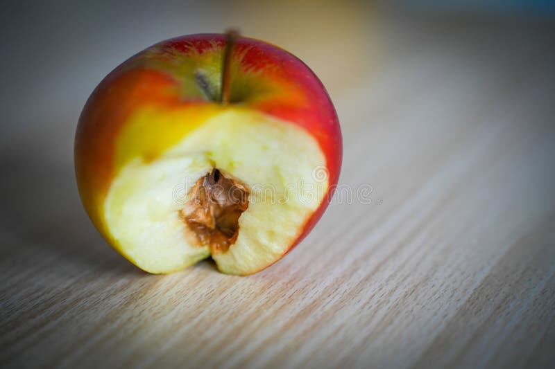 Apple from the Inside Rotten Stock Photo - Image of rotting, decompose ...