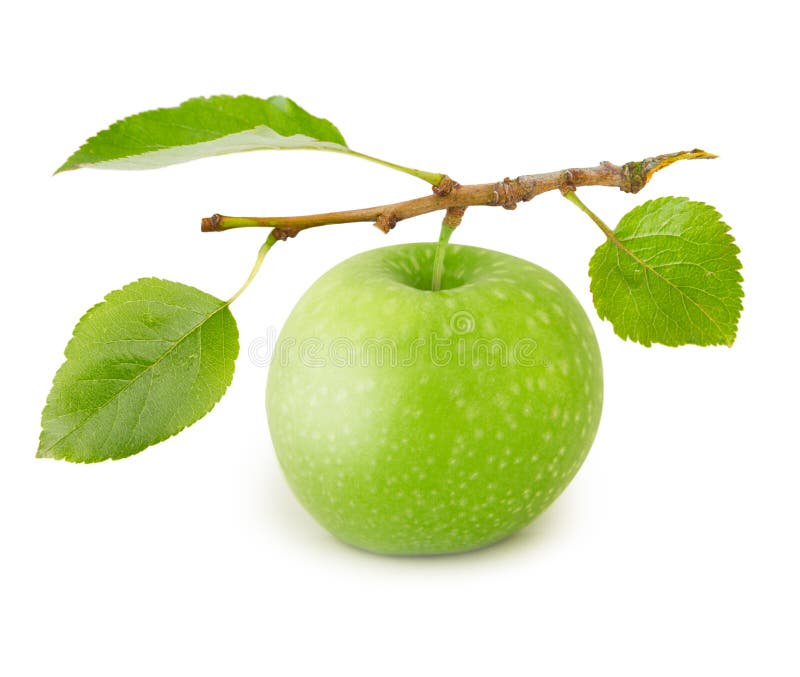 Apple isolated stock photo. Image of bright, nature, leaf - 46050992