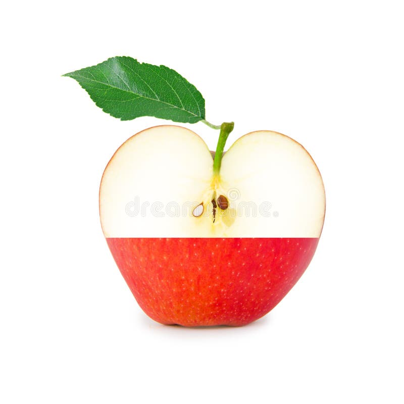 Apple isolated stock image. Image of nature, ripe, agriculture - 42884705