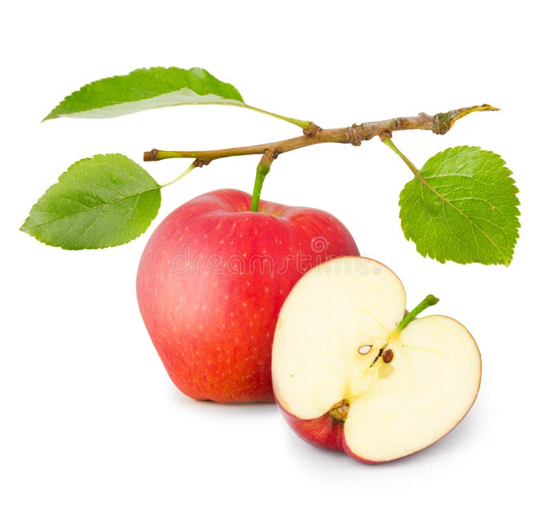 Apple isolated stock image. Image of delicious, freshness - 45753735