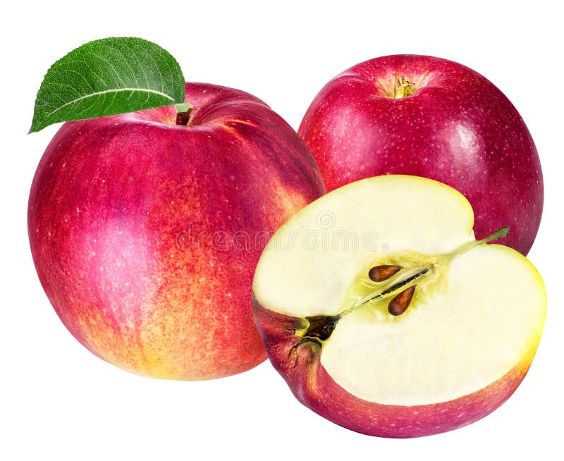 Apple isolated on white stock photo. Image of food, clipping - 101263736