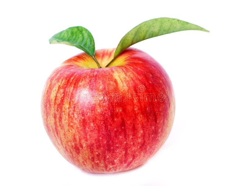 Apple isolated on white stock photo. Image of healthy - 37893430