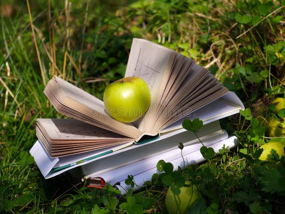 Apple of knowledge stock image. Image of garden, books - 45087919