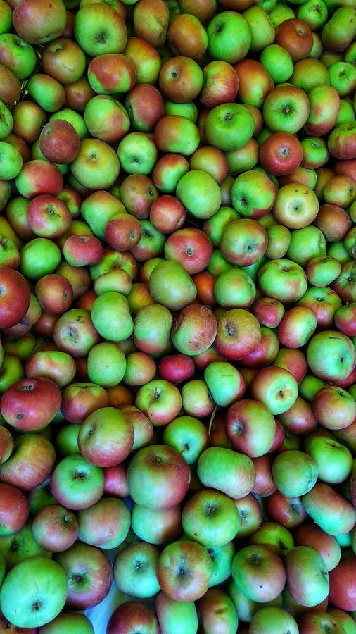 Apple Large Quantity Picture Stock Image - Image of pile, background ...