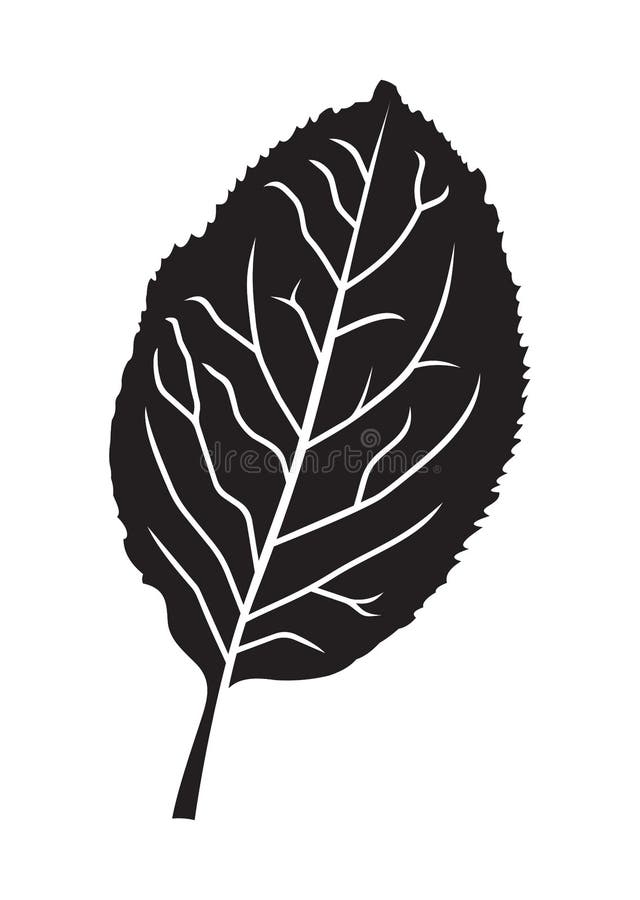 Apple leaf stock vector. Illustration of fresh, leaf - 199171675