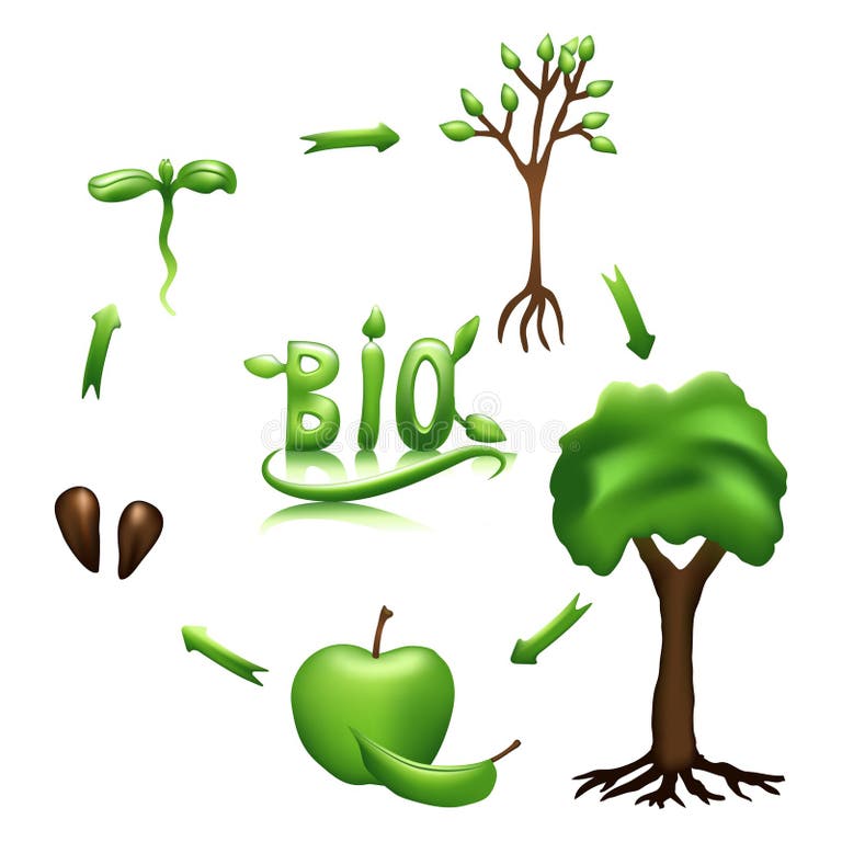Plant Life Cycle Symbol Stock Illustrations – 2,837 Plant Life Cycle ...