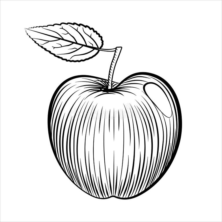 Apple Pages Logo Stock Illustrations – 211 Apple Pages Logo Stock ...