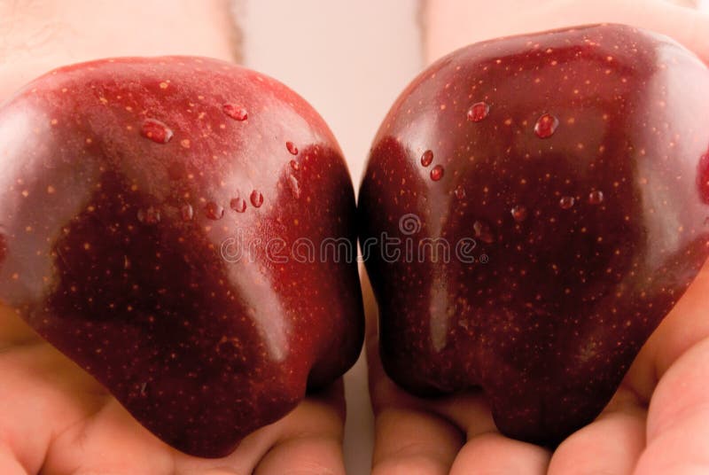 Apple love stock photo. Image of full, beautiful, healthcare - 8951700