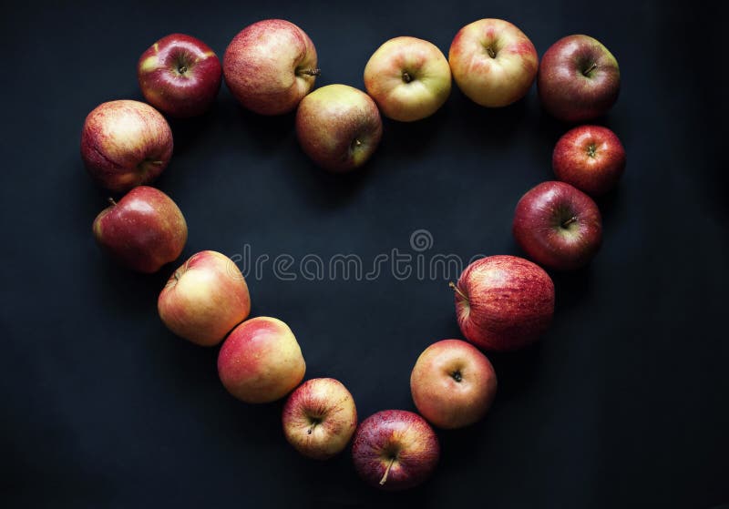 Apple love stock image. Image of ripe, nature, autumn - 80852781