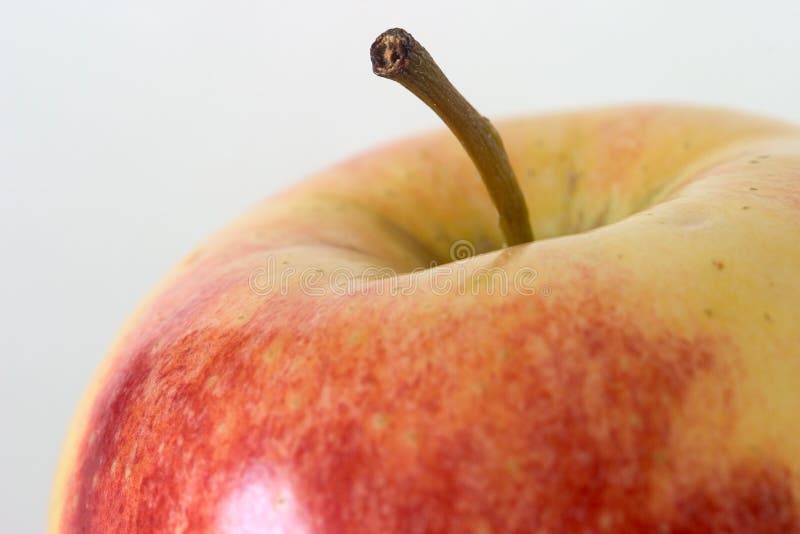 Apple Macro stock photo. Image of garden, healthy, snack - 290908
