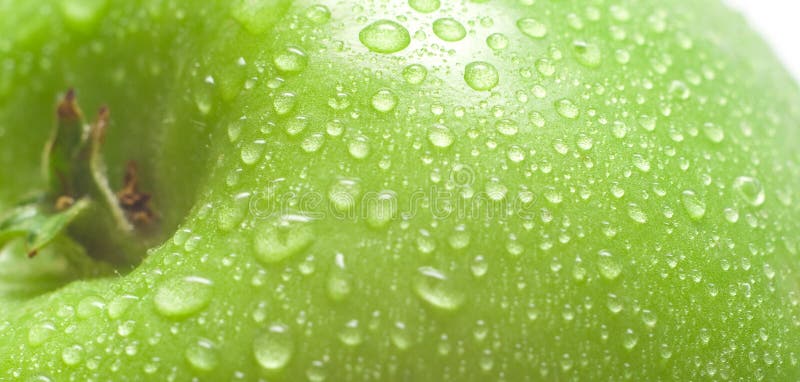 Apple macro stock photo. Image of water, fresh, close - 4230942