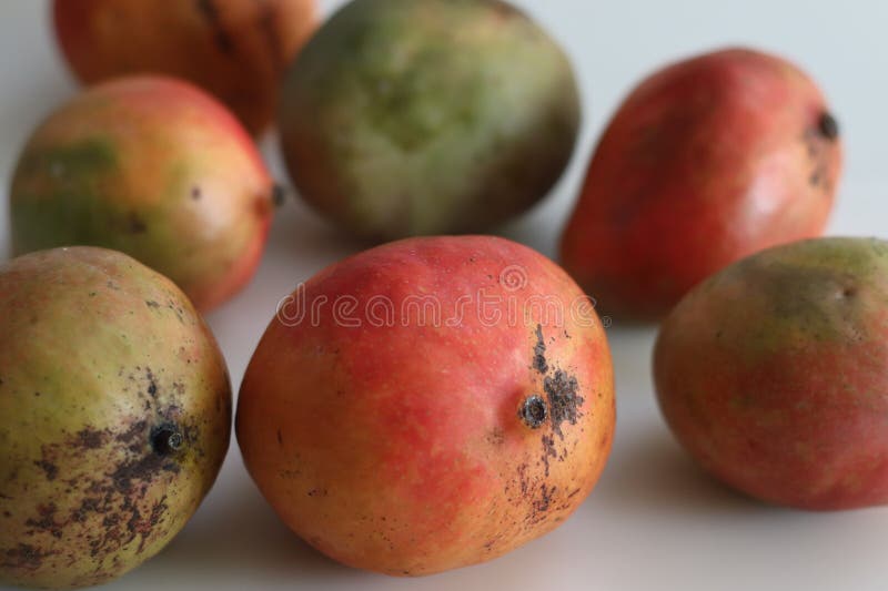 Apple Mango or Ataulfo Mango, is a Variety of Mango from the Tropical ...