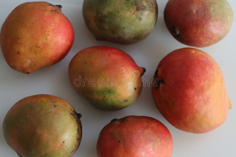 Apple Mango or Ataulfo Mango, is a Variety of Mango from the Tropical ...