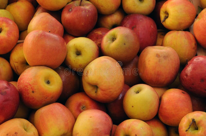 Apple on the market stock photo. Image of apple, diet - 214114574