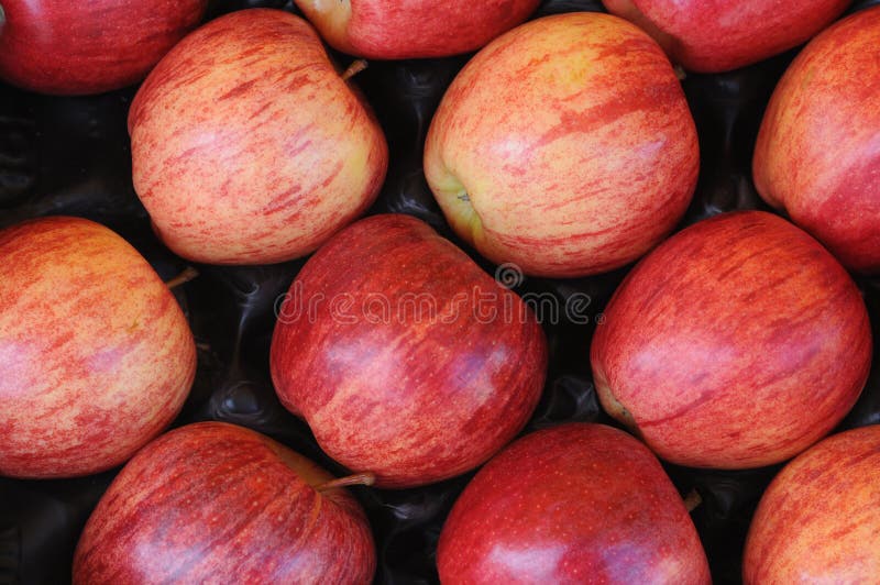 Apple on the market editorial photography. Image of food - 219443567