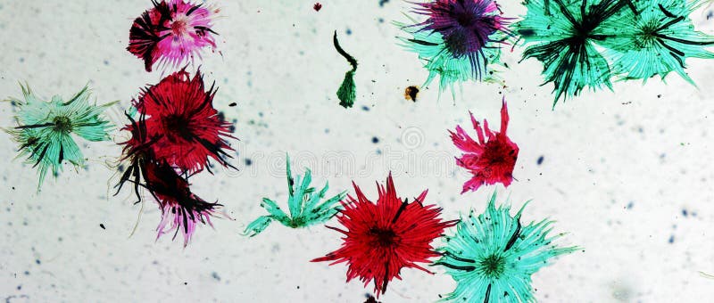 Apple micrograph stock image. Image of science, nature - 40450819