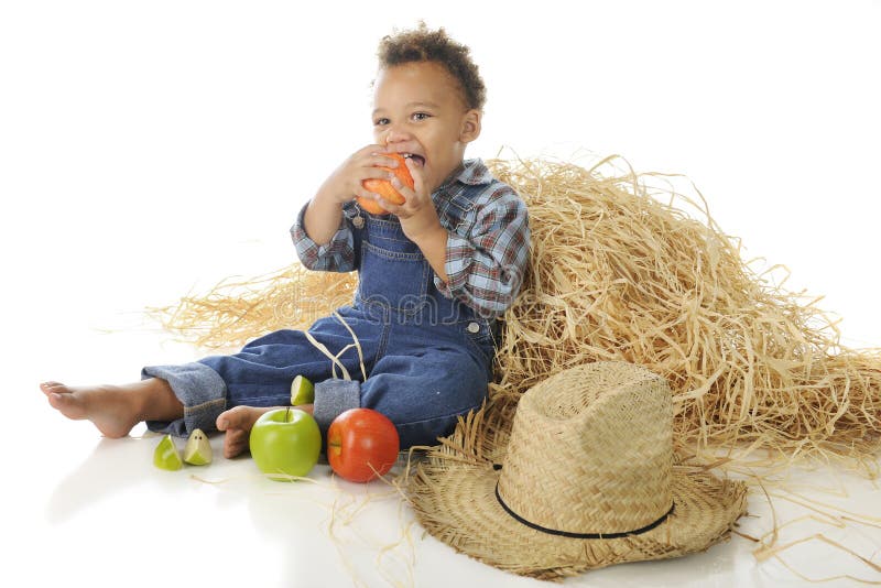 African American Boy Eating an Apple in an Orchard Stock Image - Image ...