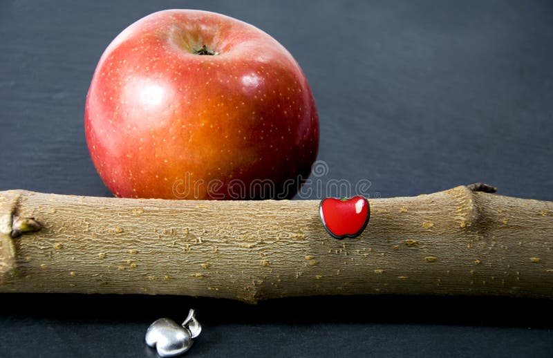 Apple next to a log. stock image. Image of culinary - 169367949