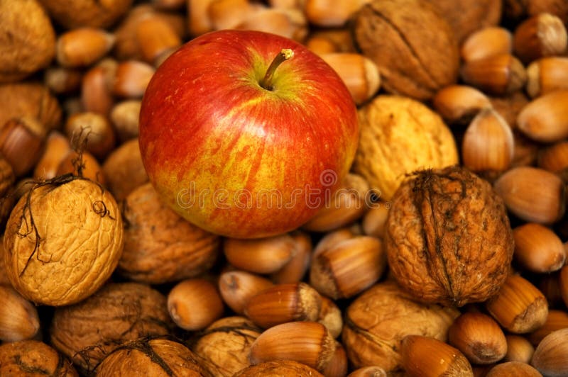 Apple and nuts stock image. Image of apple, natural, fruit - 6541811